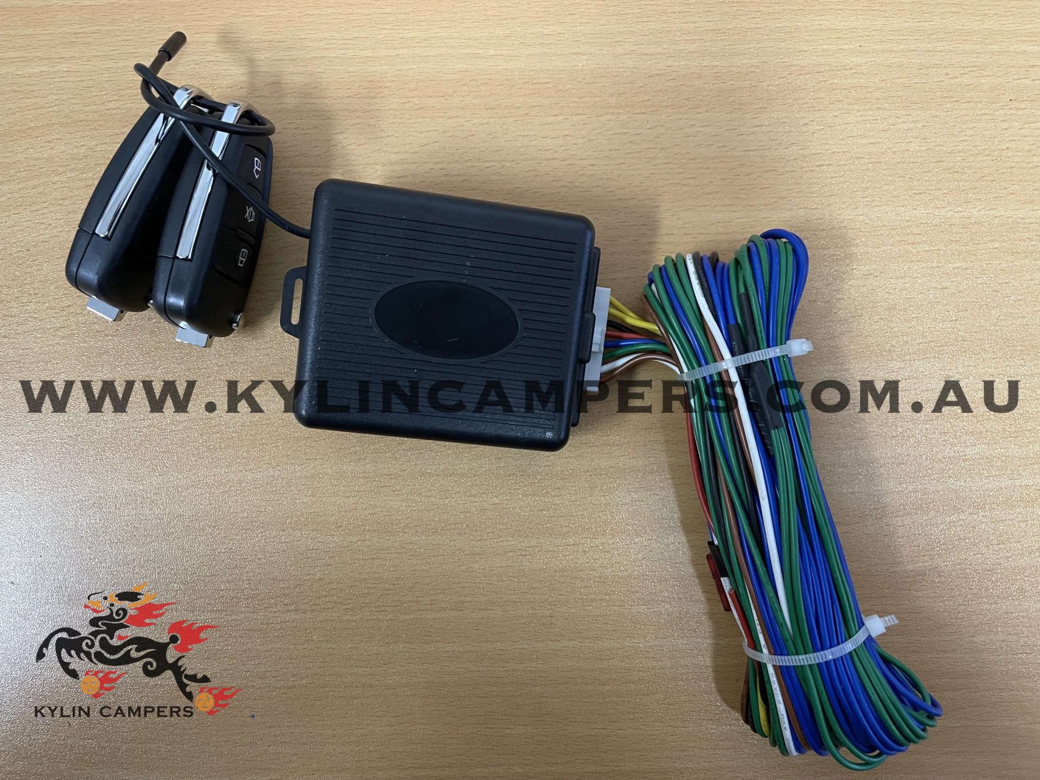 Whale Tail Lock 12V Powered Independent Central Locking Module with ...